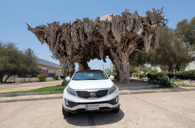 kia sportage in Kish - vehicle code: 1958 - Rentifa